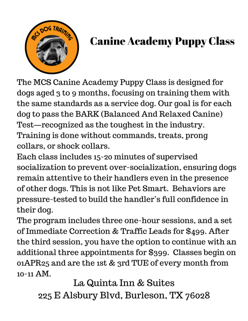 MCS Canine Academy Puppy Class - MCS Dog Training