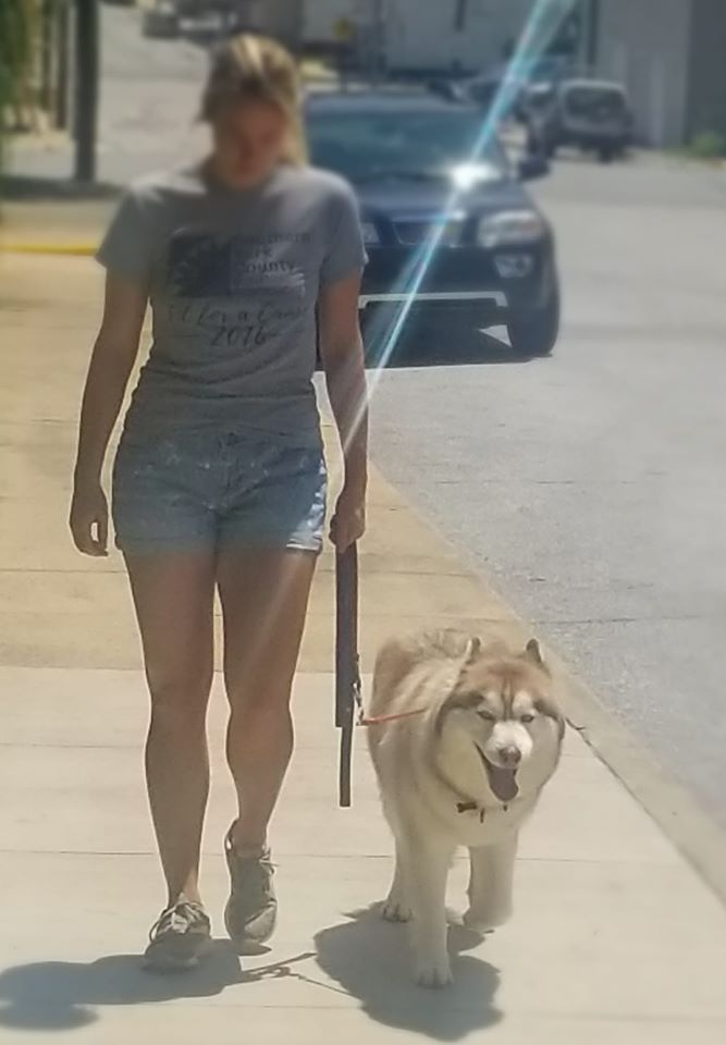 The loop at the end of the leash is for hanging it up - MCS Dog Training